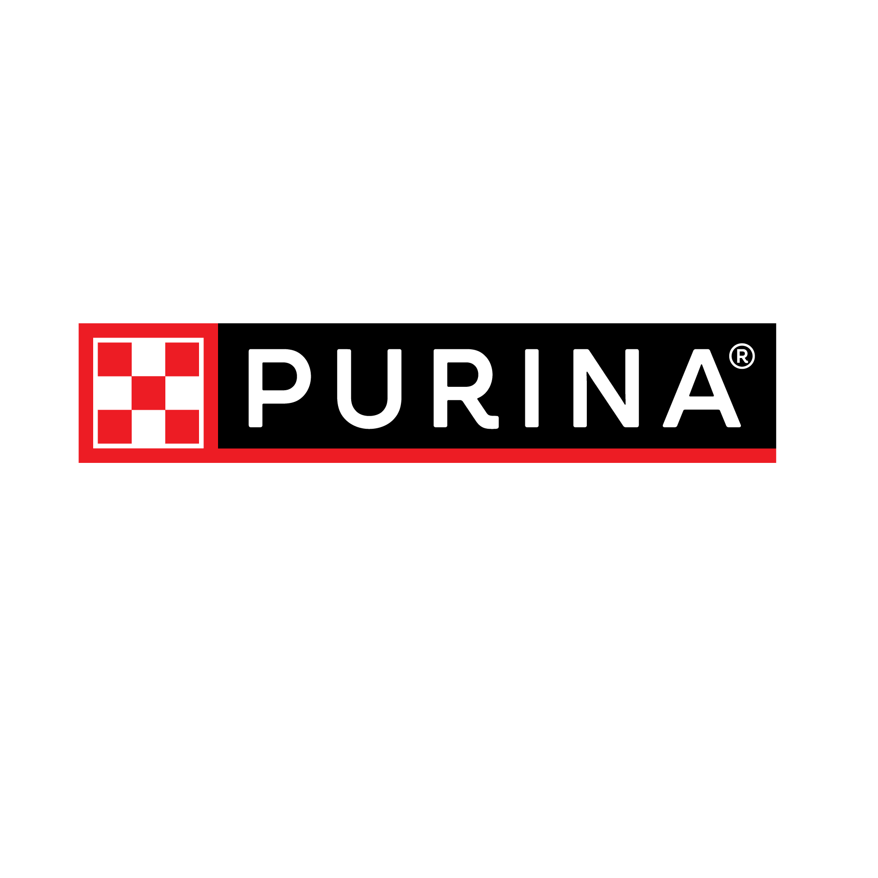 Siamese Cat Breed Information | Purina New Zealand Siamese Cat Breed Information | Purina New Zealand